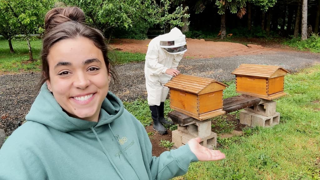 Recipes, Preservation, and Home DIY | Scratch Pantry