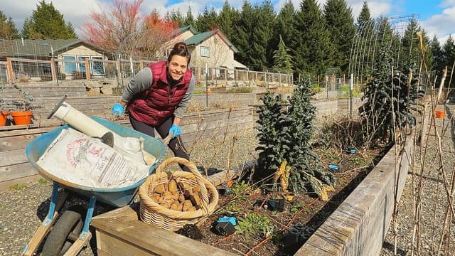 DIY Weed Killer | Scratch Pantry